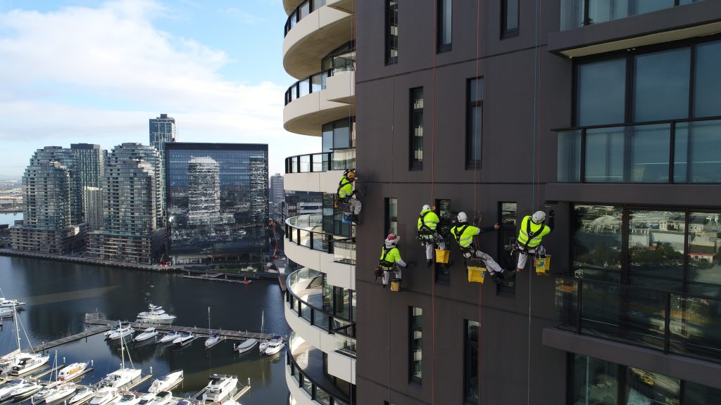 Programmed | Explore Careers New Zealand